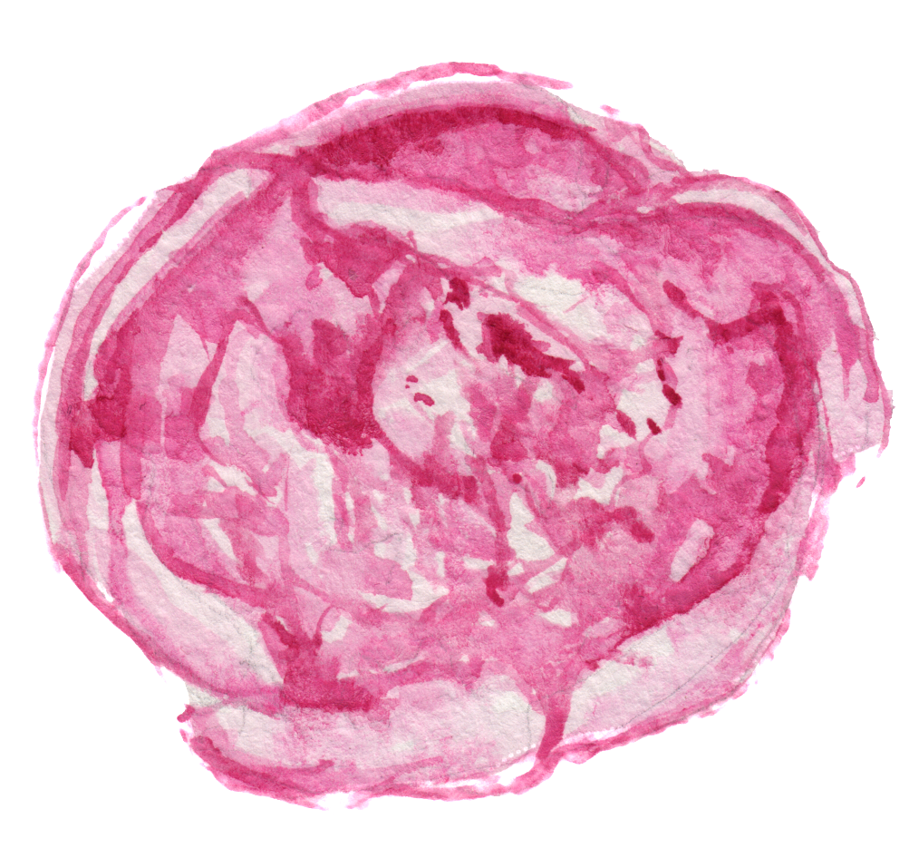 Watercolor Paint , Png Download - Watercolor Paint Clipart - Large Size ...