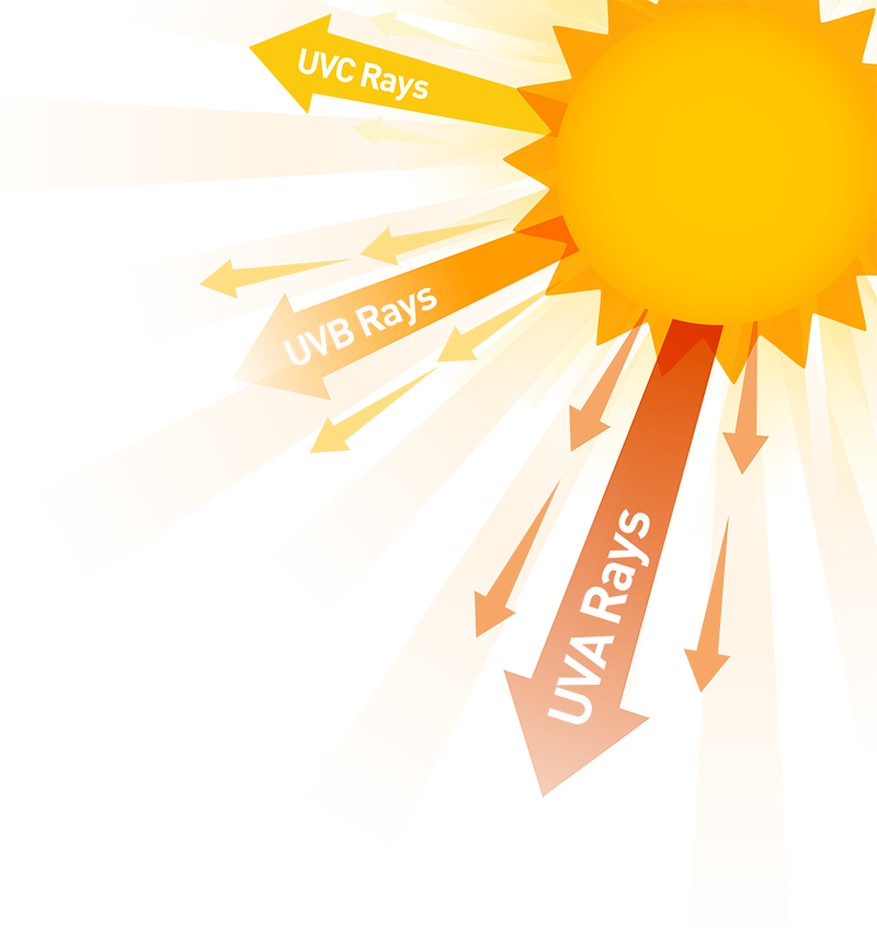 Sunlight Clipart Sun Exposure Uv Rays Png Download Large Size Png Sunlight Clipart Sun Exposure Uv Rays Png Download Large Size Png