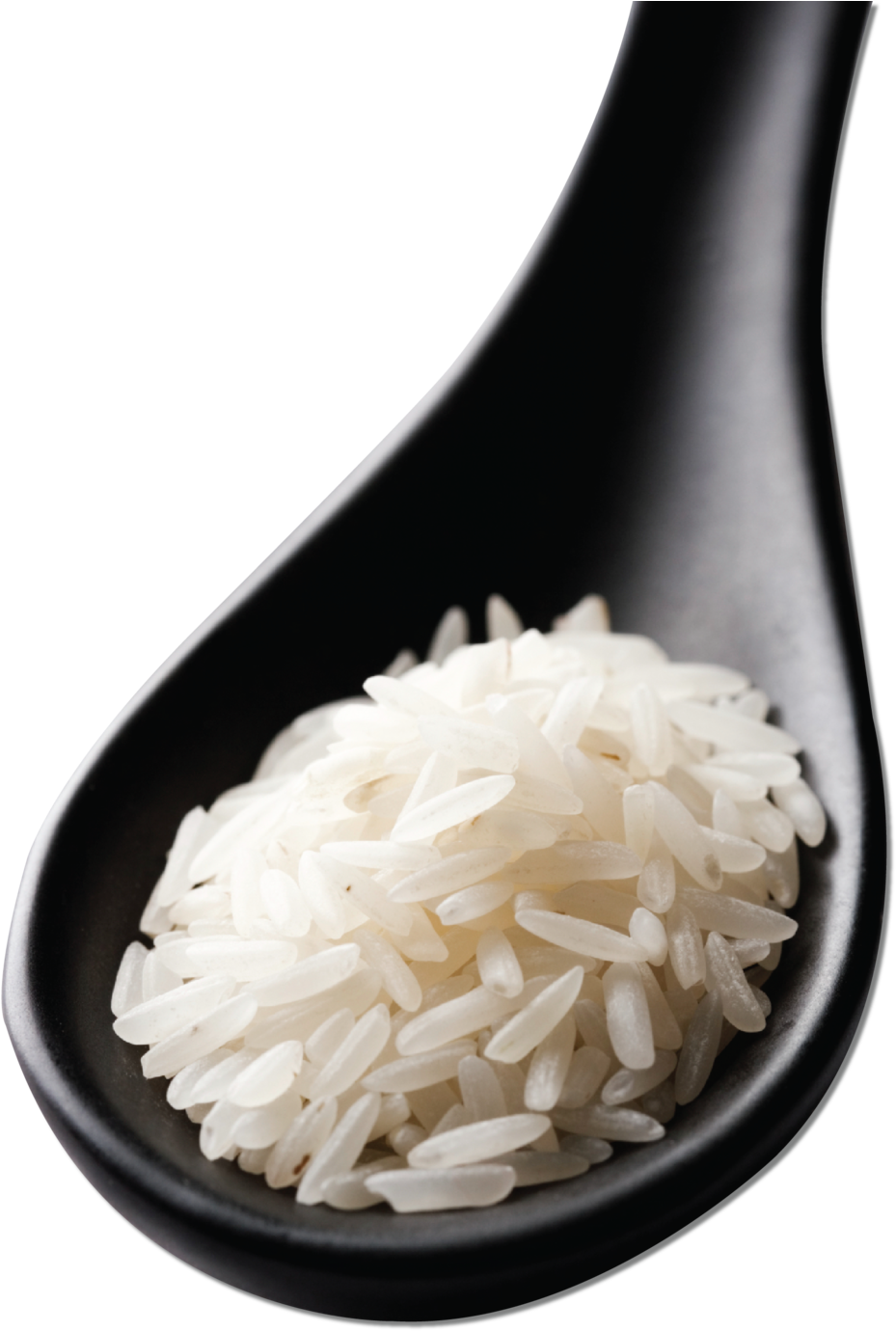 Basmati Rice Png Clipart - Large Size Png Image - PikPng