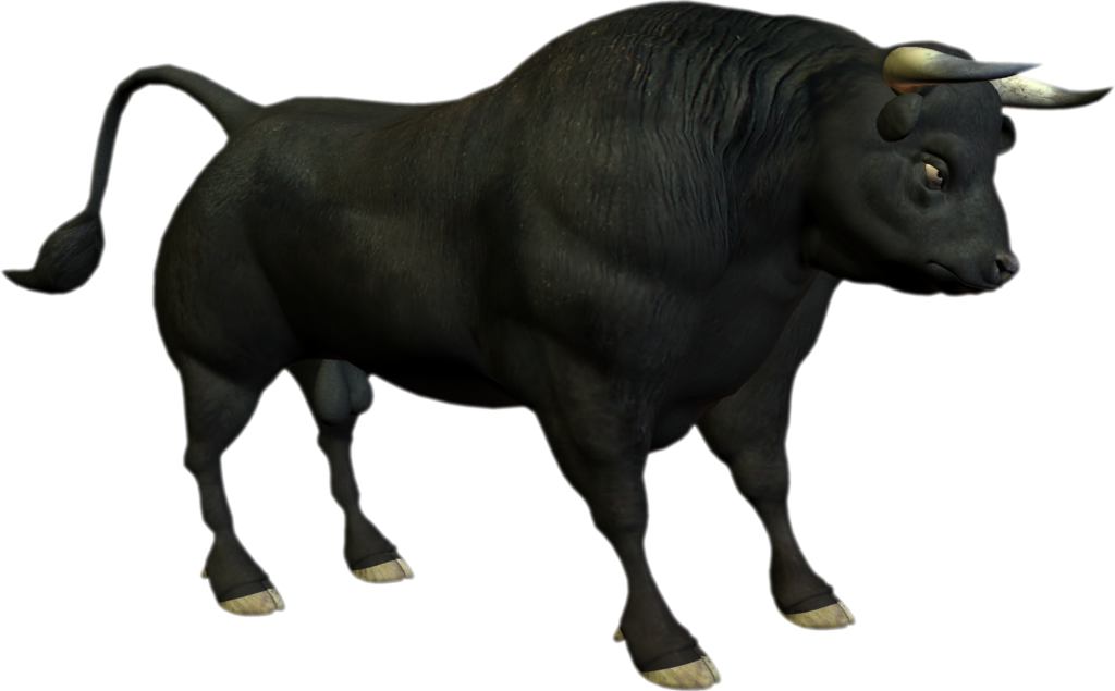 Bull Png Photo - Bull Png Clipart - Large Size Png Image - PikPng