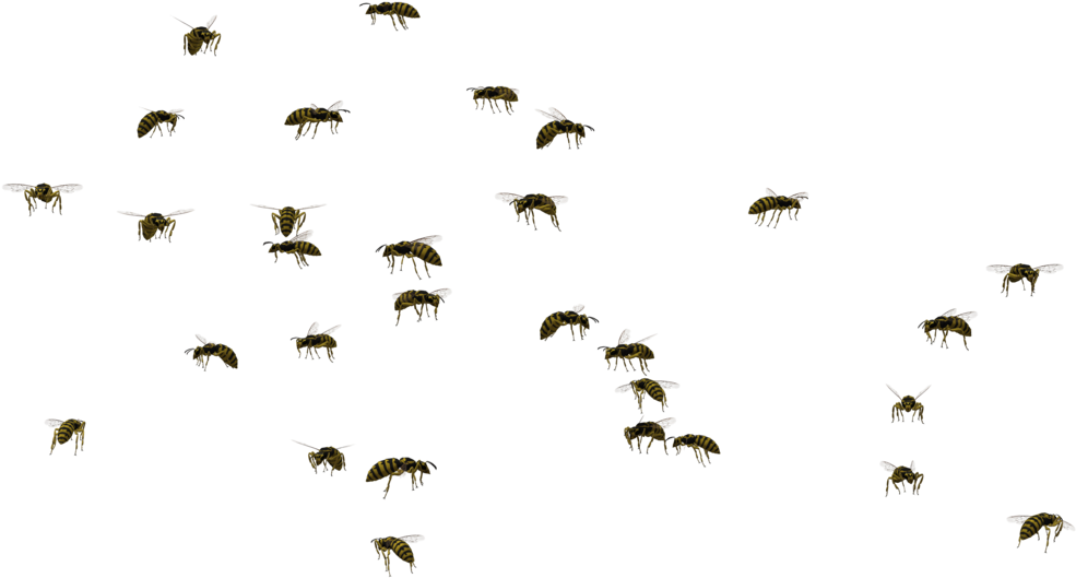 Swarm Of Bees Png Png Royalty Free - Swarm Of Flies Clipart Transparent ...