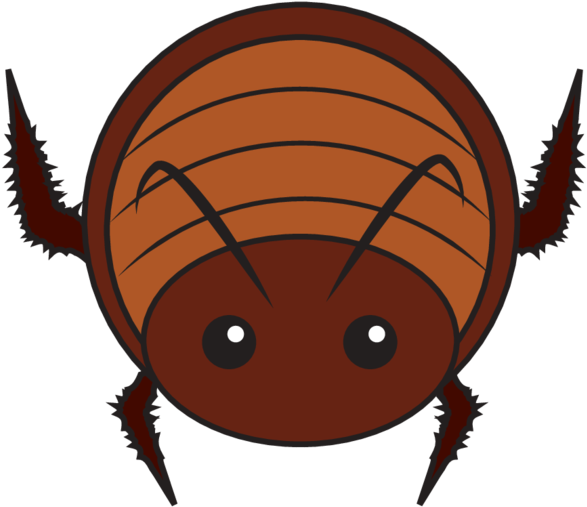 Animaru Cockroach - Cockroach Head Cartoon Clipart - Large Size Png ...