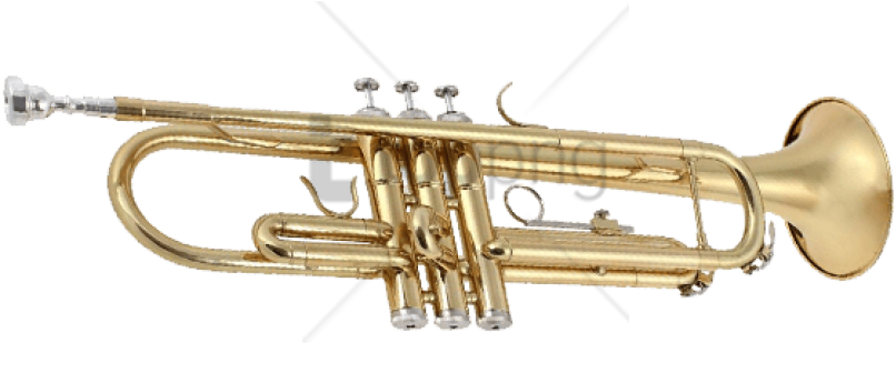 Download Free Png Trumpet Png Png Image With Transparent Background ...