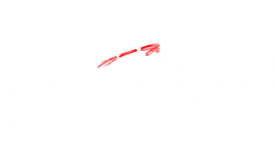 Wwe Breaking Point Logo Clipart - Large Size Png Image - PikPng