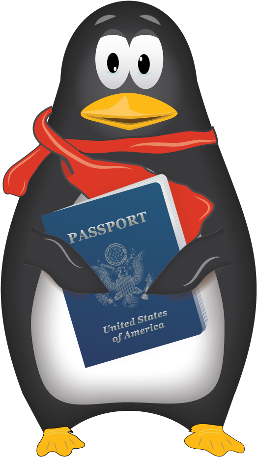 Kevin The Penguin - Adã©lie Penguin Clipart - Large Size Png Image - PikPng