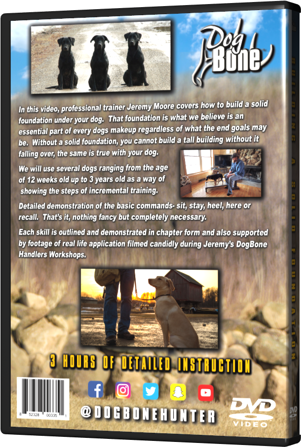 03 Foundation Dvd Back Transparent - Flyer Clipart - Large Size Png ...