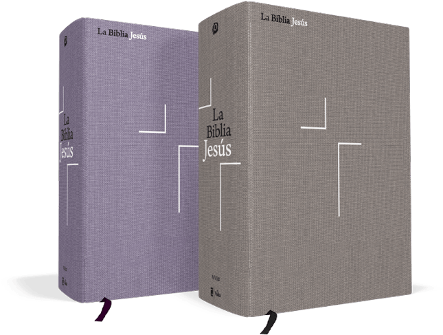 Sesenta Y Seis Libros - Jesus Bible Clipart - Large Size Png Image - PikPng