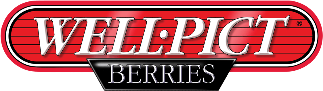 Well Pict Logo Clipart - Large Size Png Image - PikPng