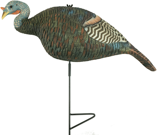 Relaxed Hen - Turkey Clipart - Large Size Png Image - PikPng