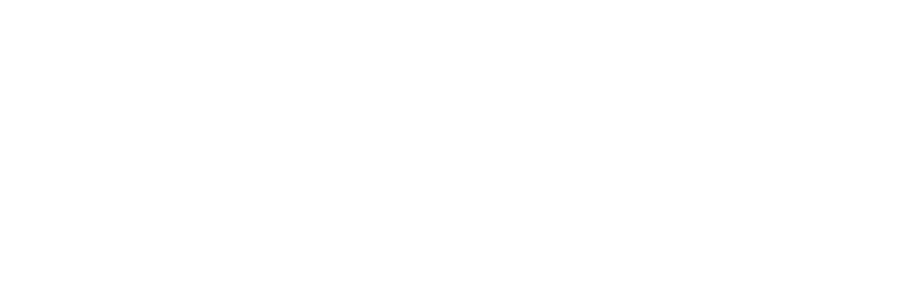 Leinster Rugby Logo White Clipart - Large Size Png Image - PikPng