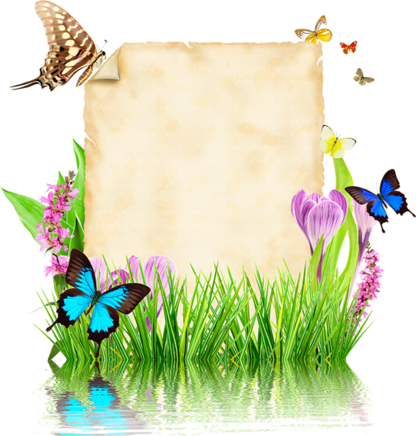 Parchemins Writing Paper, Vector Design, Photoshop Clipart - Large Size ...