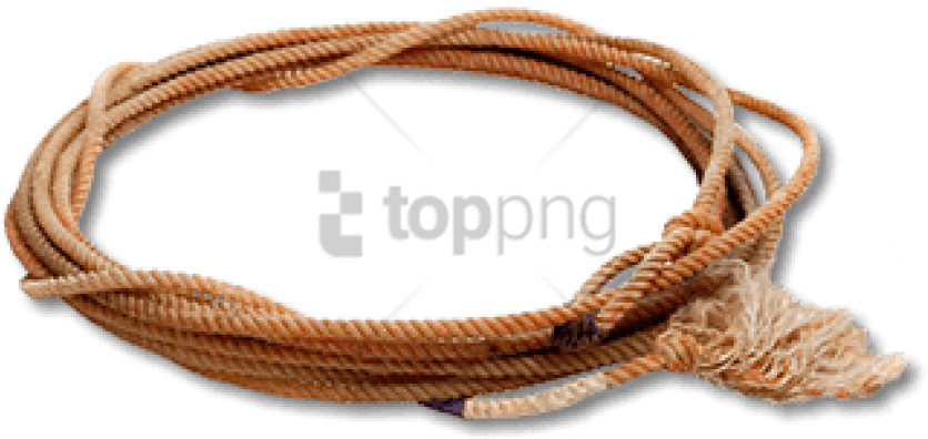 Download Images Background Toppng - Lasso Transparent Background ...