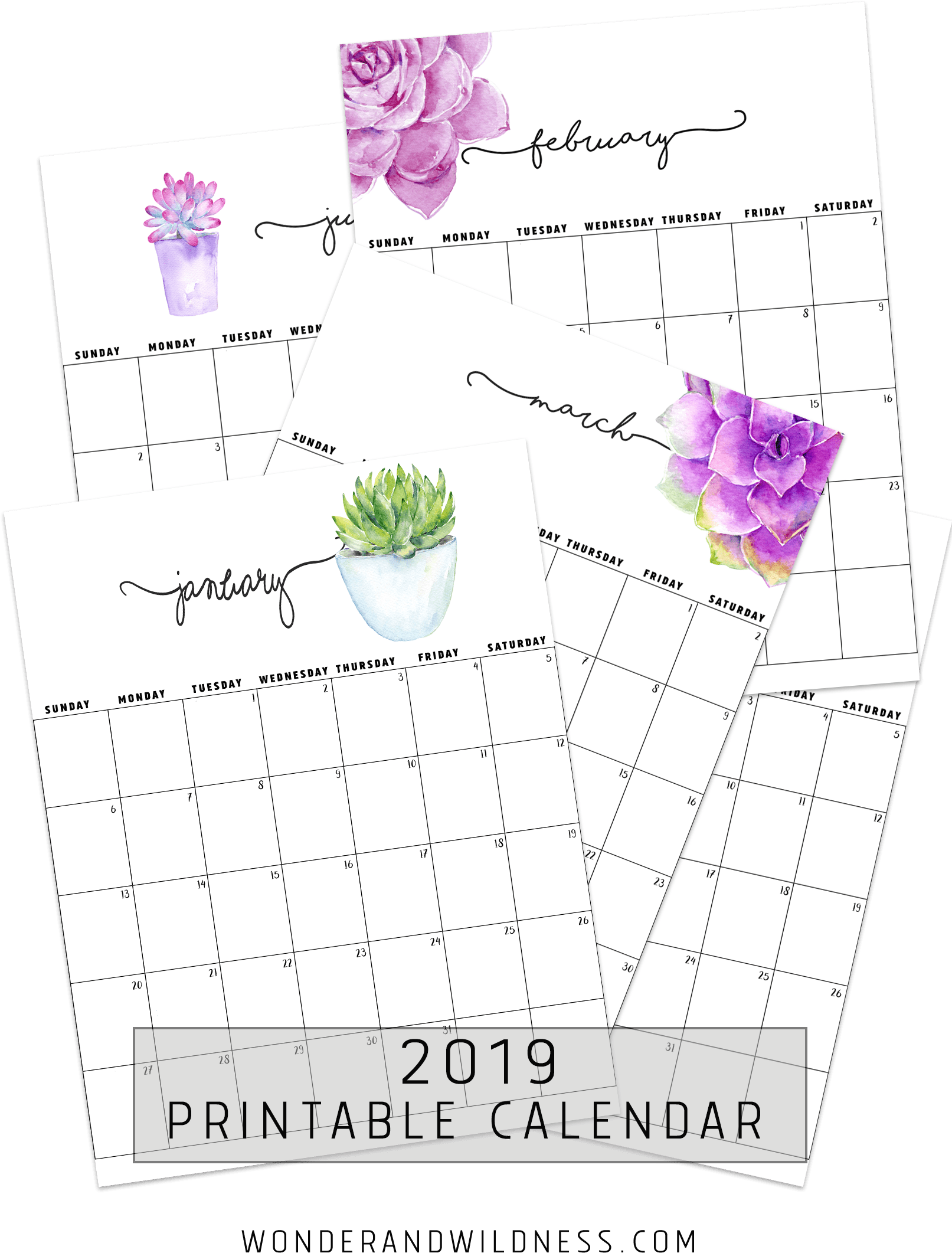 Plants/succulents Calendars - 2019 Free Flower Printable Calendar ...