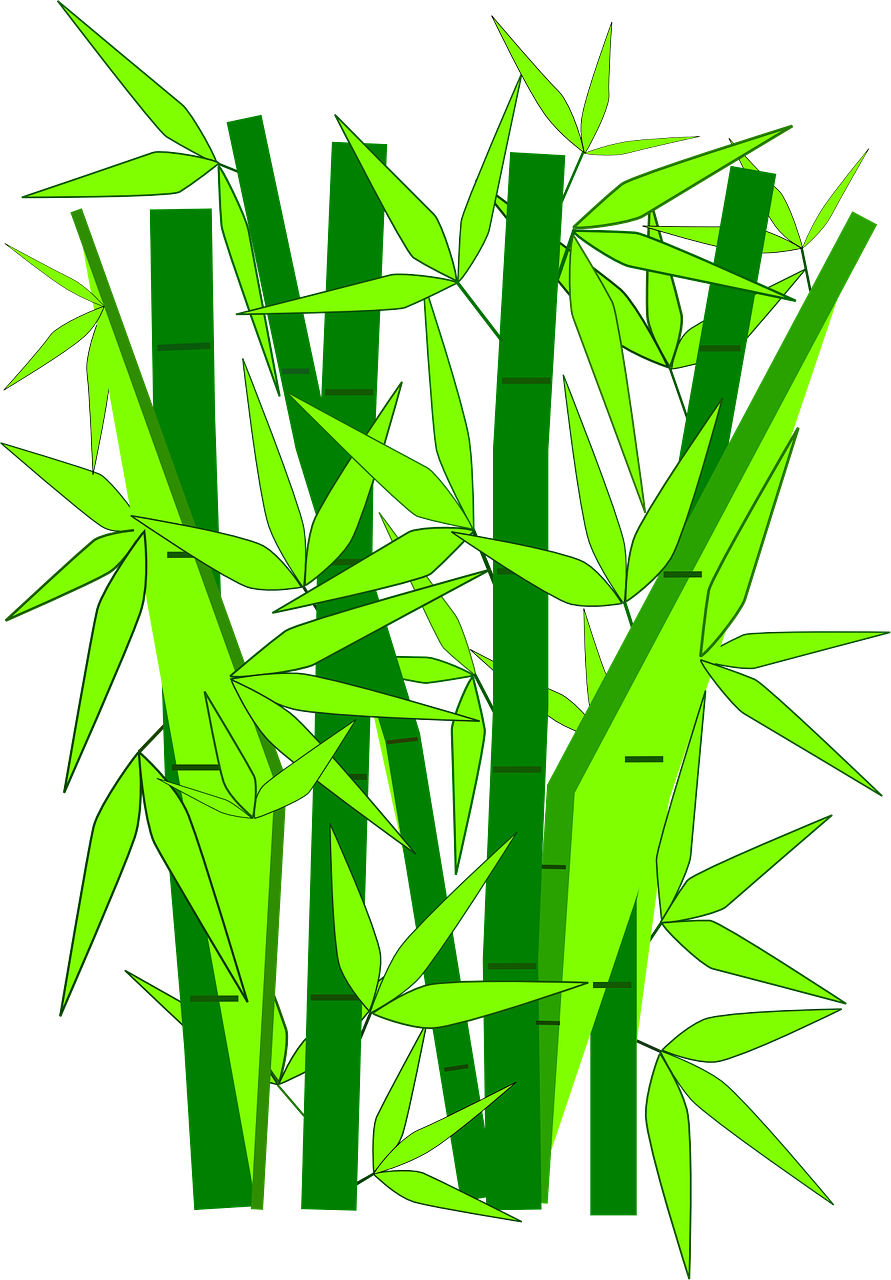 Bamboo Tree Vector Png - Bamboo Png Cartoon Clipart - Large Size Png ...