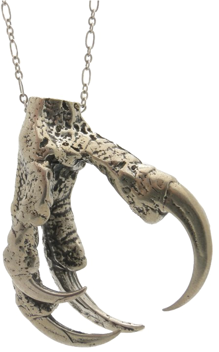 Claw Transparent Background - Owl Claw Clipart - Large Size Png Image ...