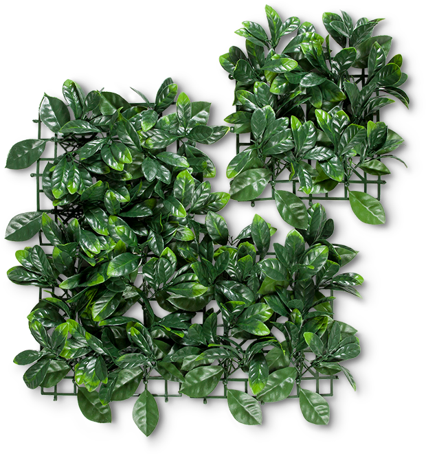 Privet Artificial Hedge - Houseplant Clipart - Large Size Png Image ...