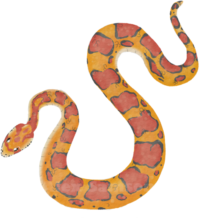 Corn Snake Png - Serpent Clipart - Large Size Png Image - PikPng