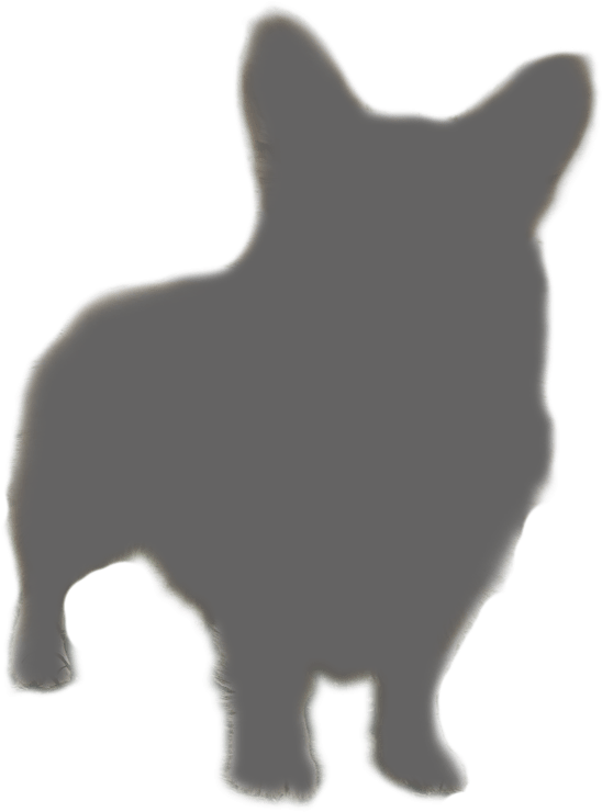 Celine Angelia Welsh Corgi - Schipperke Clipart - Large Size Png Image ...