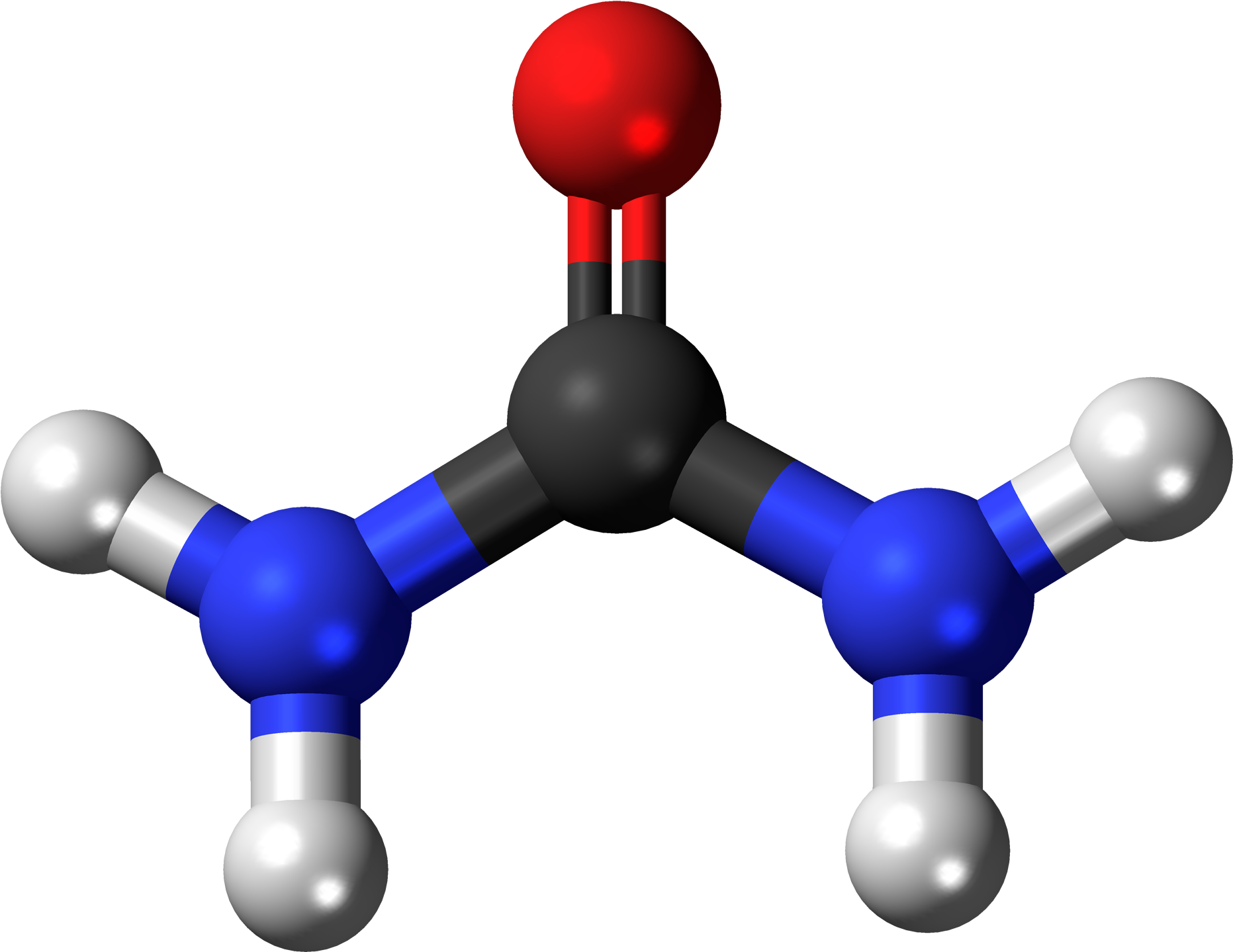 Chemistry Atom Cliparts - Urea Molecule - Png Download - Large Size Png ...