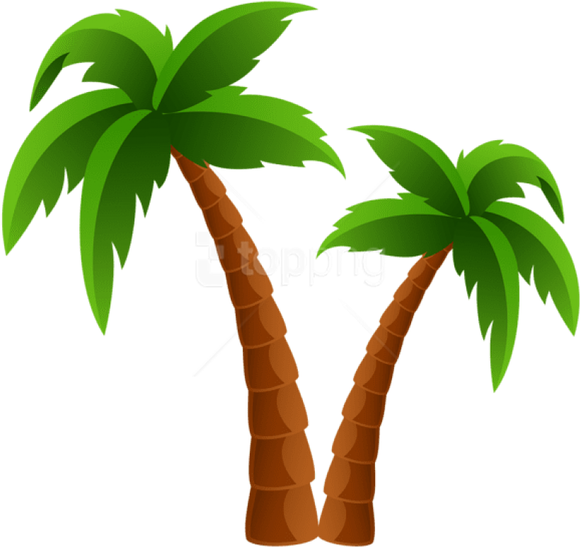 Download Free Png Download Two Palm Trees Png Images Background - Palm ...