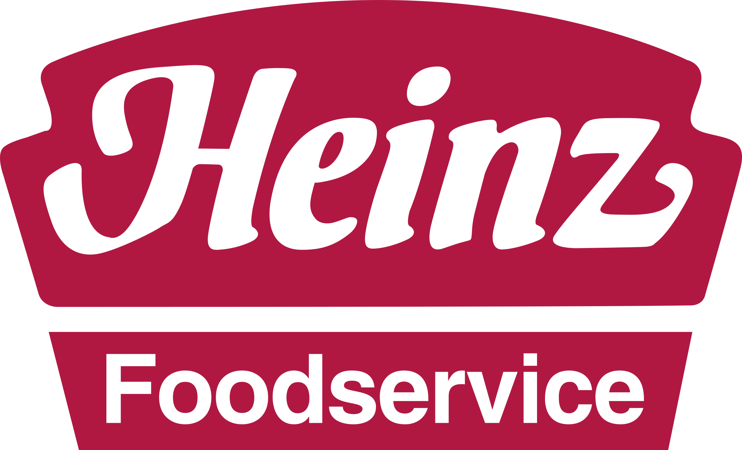 Heinz Foodservice Logo Png Transparent - Heinz Clipart - Large Size Png ...