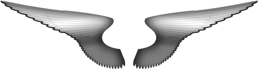 Metal Wing Png Clipart - Large Size Png Image - PikPng