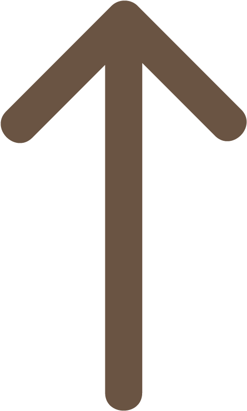 Cds - Icon Clipart - Large Size Png Image - PikPng