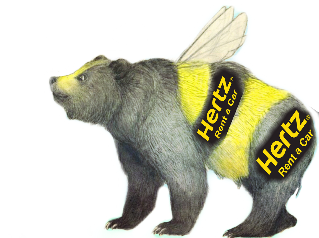 #bee #hertz #usro #abelha #bear - Bumble Bear Clipart - Large Size Png ...