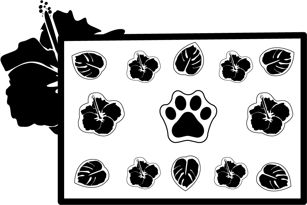 Sticker Set Icon Clipart - Large Size Png Image - PikPng