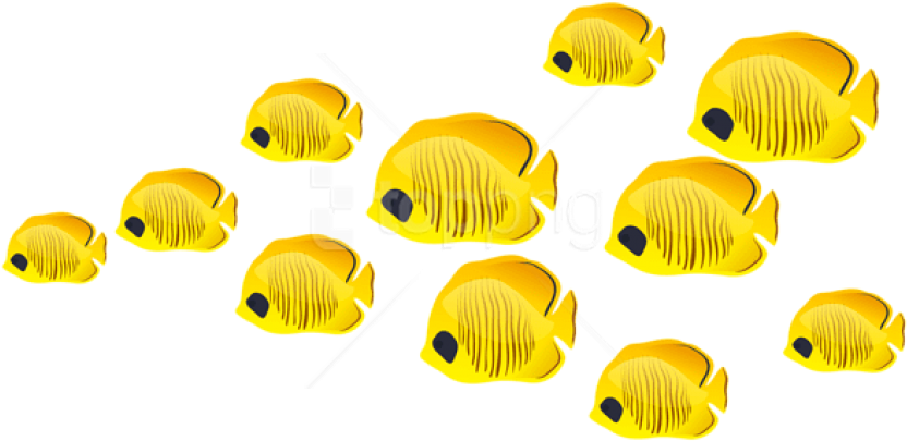 Free Png Fishes Png Images Transparent - Coral Reef Fish Clipart ...