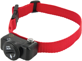 Petsafe Clipart - Large Size Png Image - PikPng