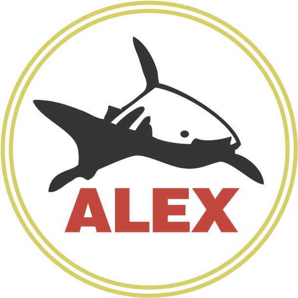 Alex Logo Clipart - Large Size Png Image - PikPng