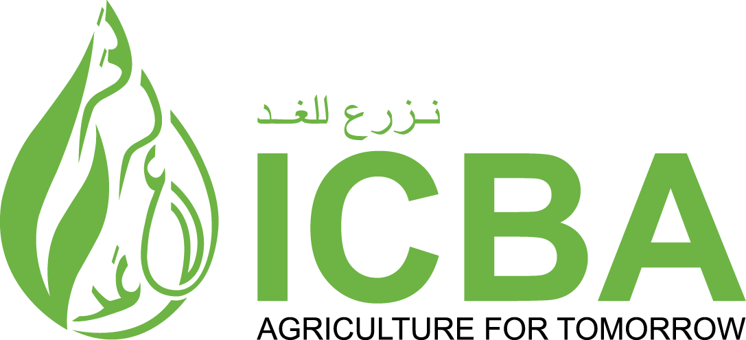 Icba Logo Color - Icba Dubai Logo Clipart - Large Size Png Image - PikPng