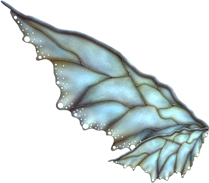 Manipulation-heavenly Angel - Fantasy Wings Clipart - Large Size Png ...