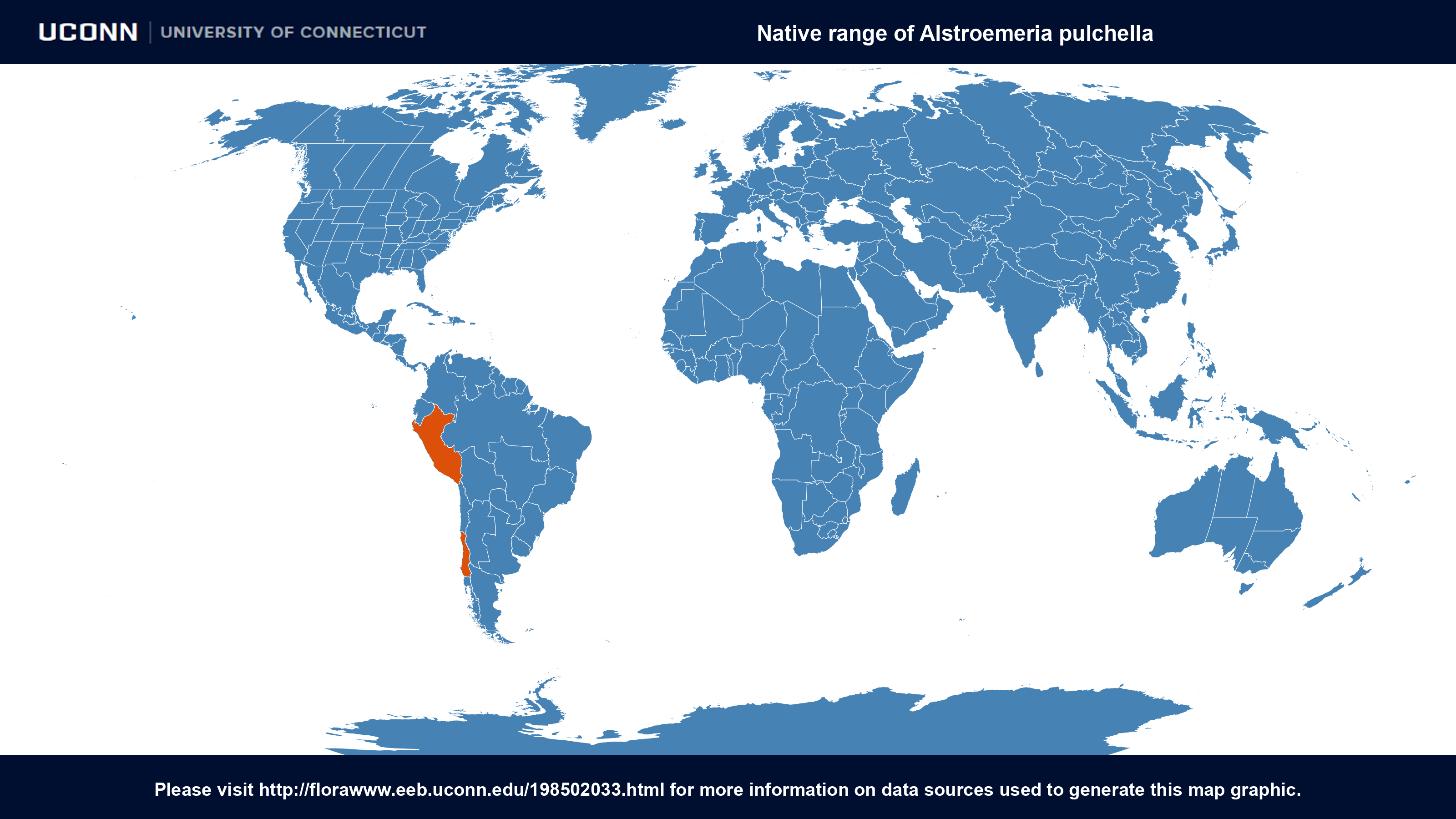 Country Of Origin - English Ivy Native Range Clipart - Large Size Png ...