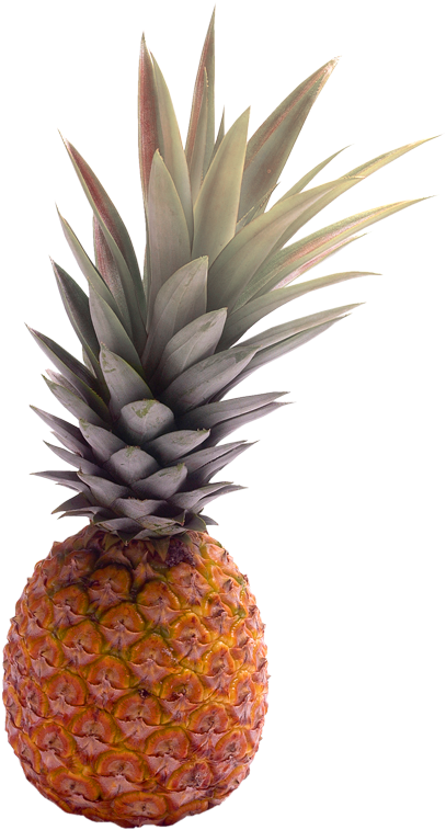 Abacaxi Png Fundo Transparente , Png Download - Abacaxi Png Fundo ...