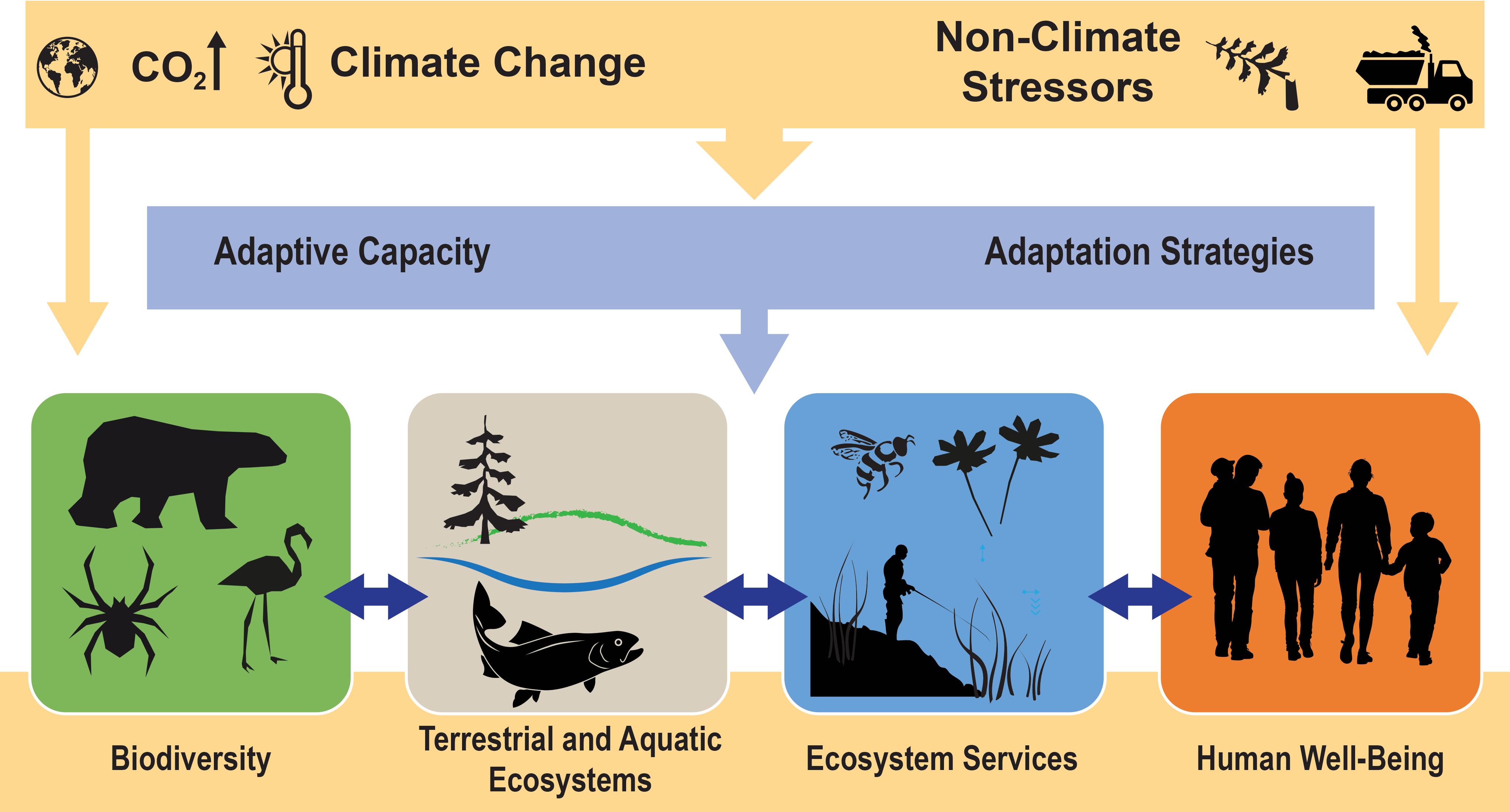 Ecosystems, Ecosystem Services, And Biodiversity - Silhouette Ecosystem ...