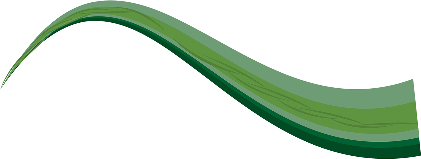 Download White Nike Swoosh Png For Kids - Green Swoosh Transparent Png ...