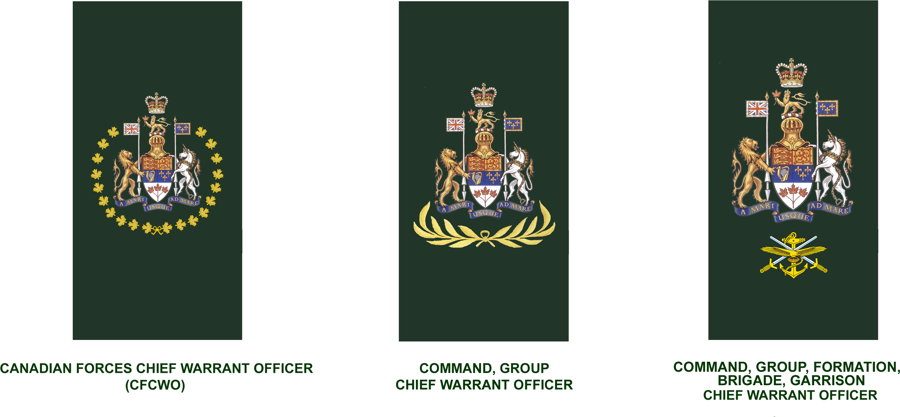 Canadian Army Officer Ranks - Chief Petty Officer Canada Clipart ...