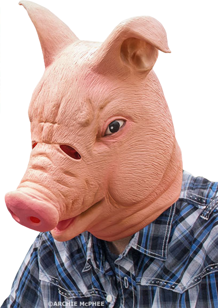 Latex Full Head Mask - Domestic Pig Clipart - Large Size Png Image - PikPng
