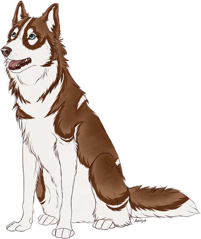 Download Medium Watercolor Acrylic - Siberian Husky Husky Cartoon Png ...