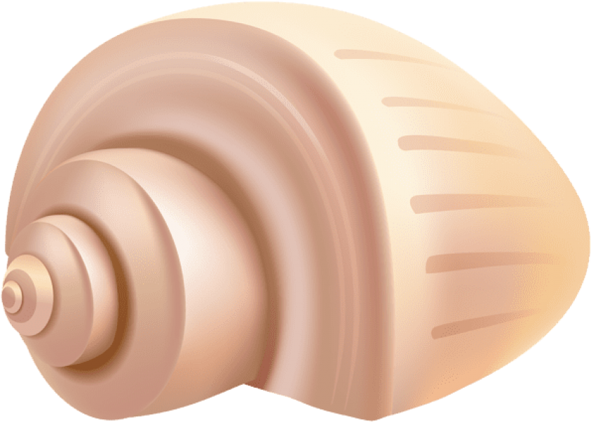 Free Png Download Conch Shell Png Clipart Png Photo - Flying Disc ...