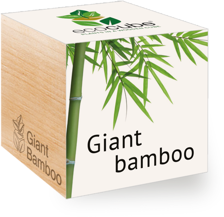 Eco Cube Clipart - Large Size Png Image - PikPng