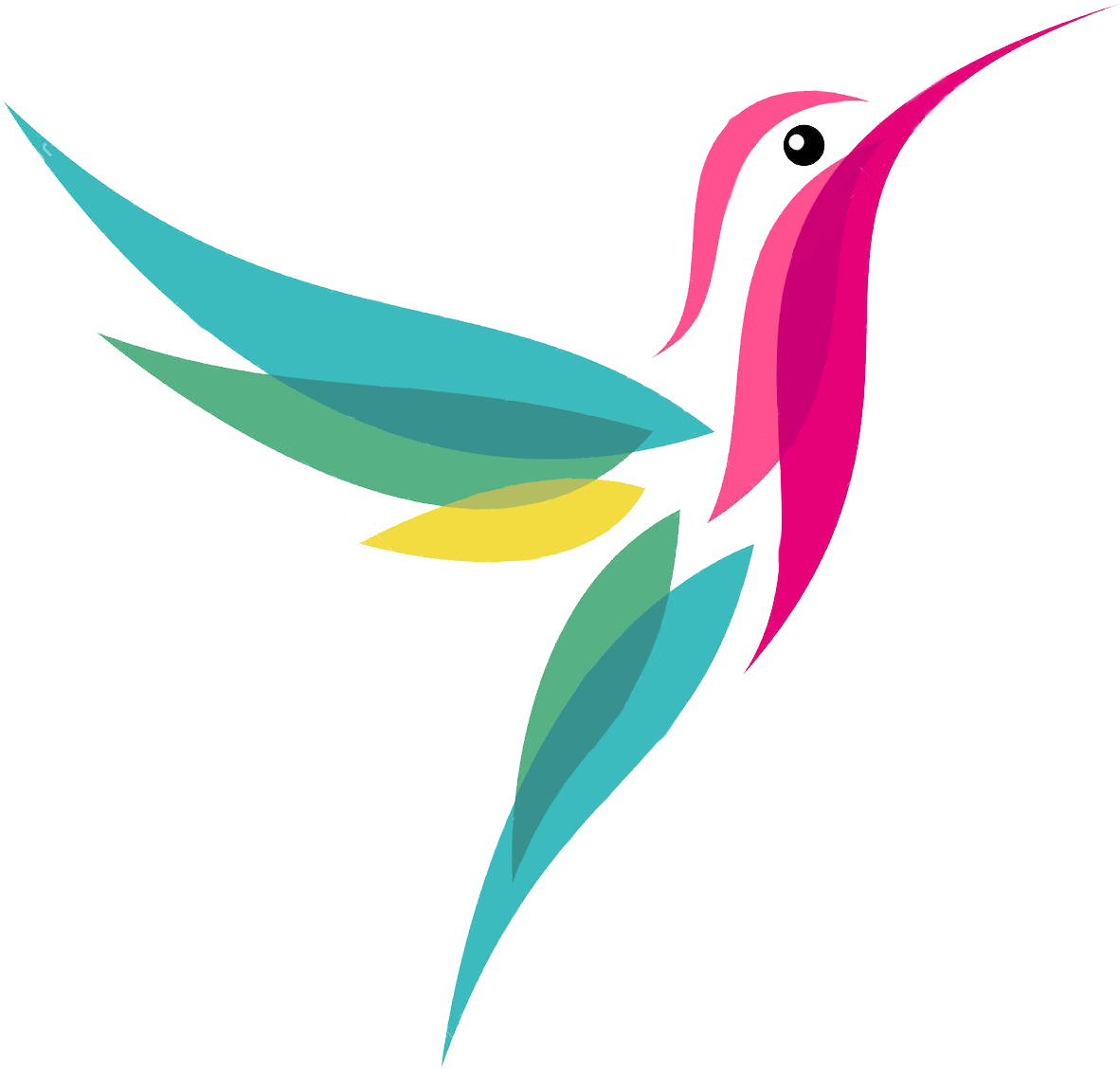 Colibri Png - Humming Bird Graphic Clipart - Large Size Png Image - PikPng