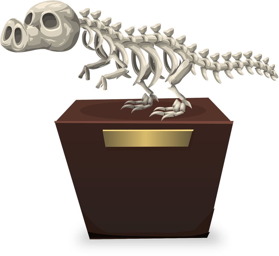 Dinosaur Skeleton Paleontology - Cute Fossil Clipart - Large Size Png ...