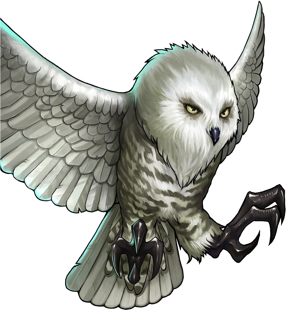 Artwork - - Snowy Owl Transparent Owl Clipart - Large Size Png Image ...