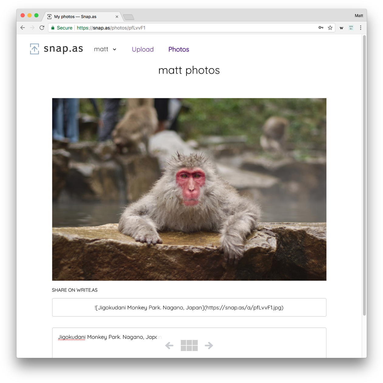 Japanese Macaque Clipart - Large Size Png Image - PikPng