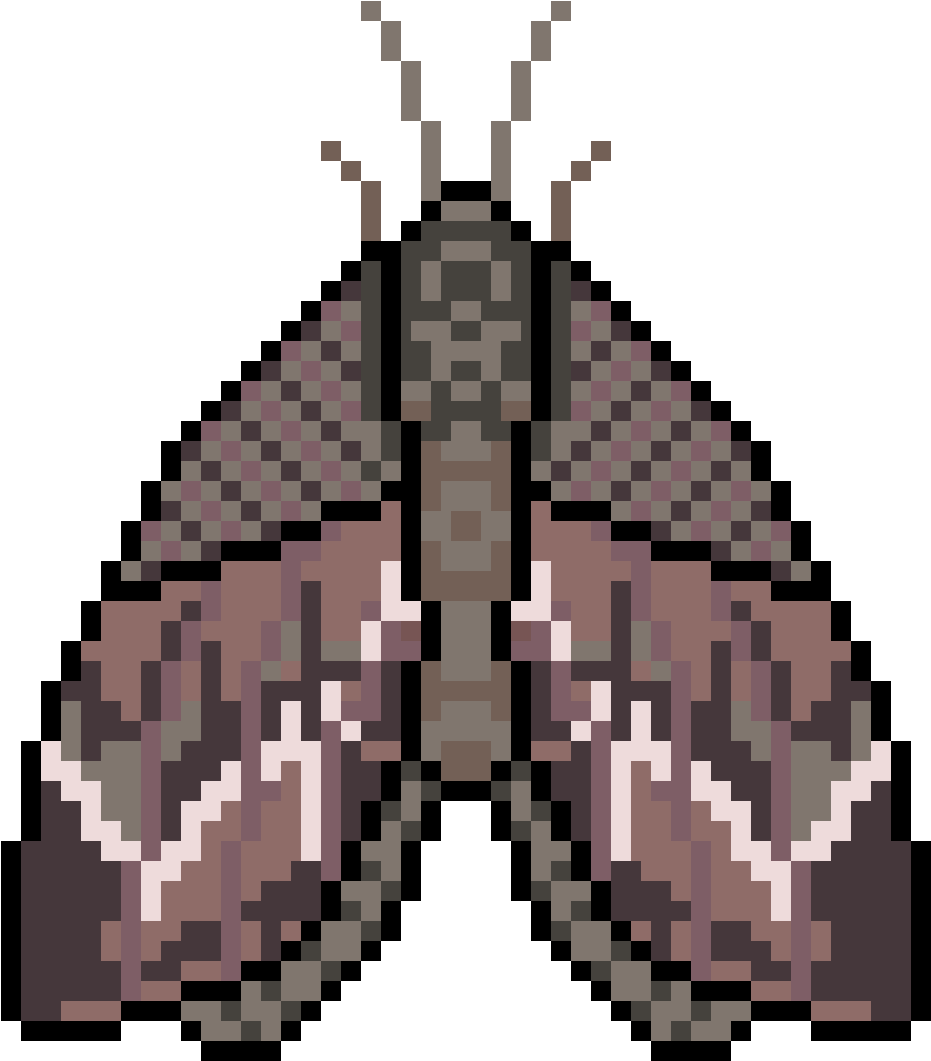 Moth V4 - Illustration Clipart - Large Size Png Image - PikPng