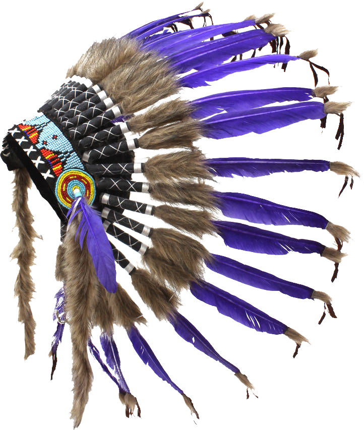 Indian Feather Png Clipart - Large Size Png Image - PikPng