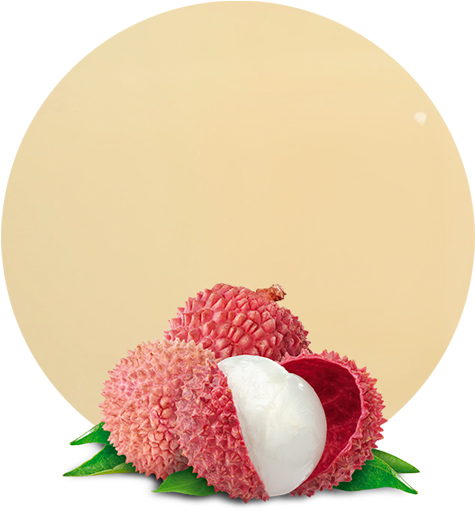Download Com/wp Puree - Lychee Sticker Clipart Png Download - PikPng